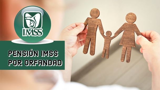 Pensión IMSS: Estos son los requisitos para jubilarte antes de los 60 ...